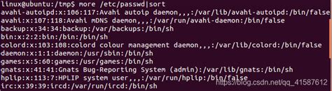 Linux实验报告【全集】 Csdn博客