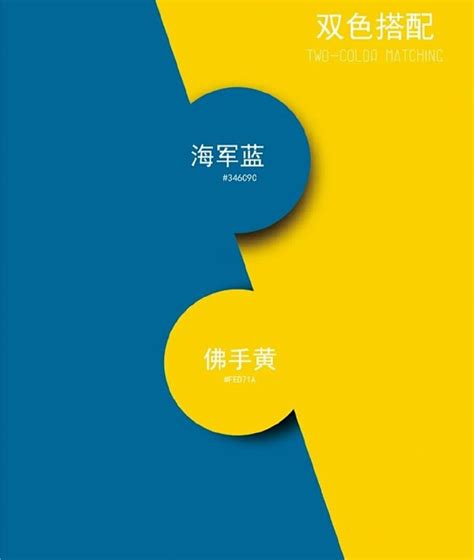 上色色彩搭配色彩 双色搭配参考 花瓣关注原画人，推荐更多精选素材，绘画更有灵感