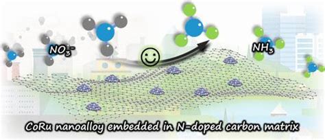 Rational Design Of A Coru Nanoalloy Embedded Carbon Matrix For Efficient Electrocatalytic