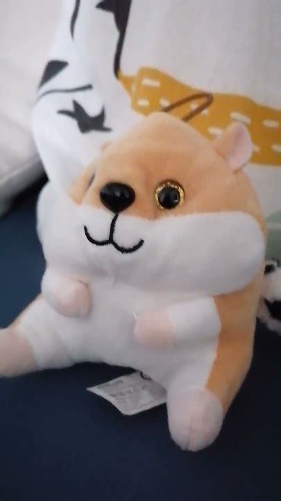 Mijn Knufels Kunen Praten Youtube