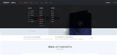 应用服务开放能力 远程真机使用说明 应用 开发者社区