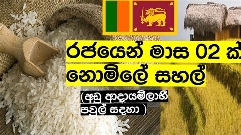 රජයෙන් මාස 02 ක් නොමිලේ සහල් ලබාදීමේ වැඩසටහන Youtube