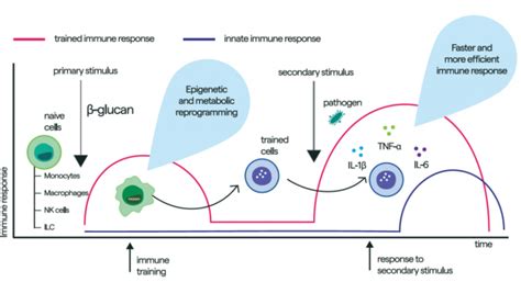 Effect Of Defensikan Defensikan