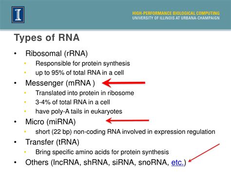Ppt Rna Seq And Transcriptome Analysis Essentials For Biotechnologists Powerpoint Presentation