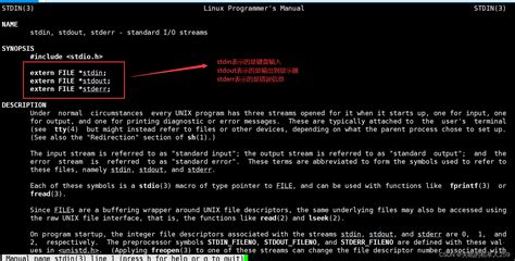 详细讲解缓冲区 CSDN博客