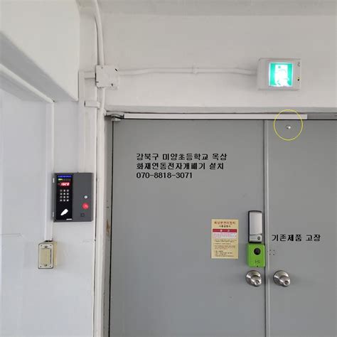 Daum 카페