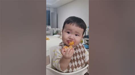 애기가 귤과일을 먹는 방법 인생 370일차 Youtube