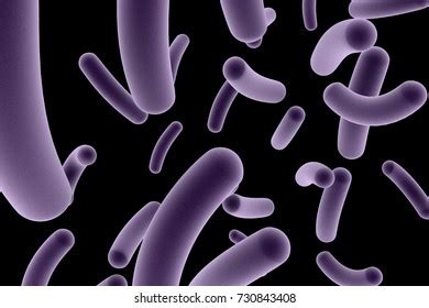 Vibrio Mimicus Bacteria 3d Illustration Vibrio Stock Illustration