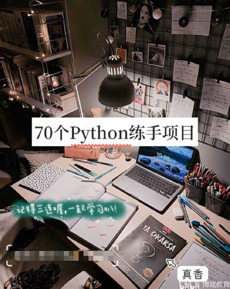 70个python练习项目，快速入门到精通 哔哩哔哩