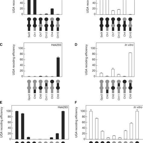 Secis Elements From Human Selenoproteome A Schematic Of Eukaryotic