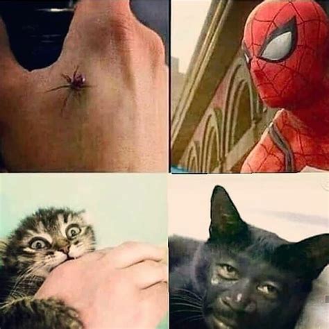 10 Meme Kocak Efek Digigit Ini Endingnya Bikin Cekikikan