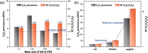 Demonstration Of Size‐sieving Property And Molecular Recognition