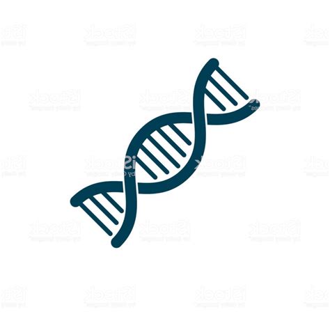 Dna Helix Vector At Getdrawings Free Download