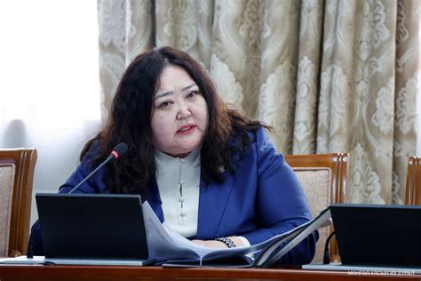 БОХХААБХ “Засгийн газарт чиглэл өгөх тухай тогтоолын төсөл батлав