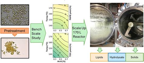 De Risking Pretreatment Of Microalgae To Produce Fuels And Chemical Co Products Energy Fuels