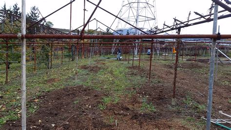 山梨県韮崎市A様 解体 ビニールハウスの販売施工 山梨県甲斐市の城西工業