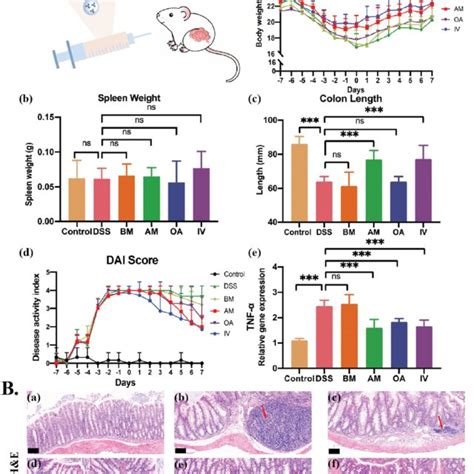 Fabrication And Characterization Of Thin Shell Hydrogel Microcapsules