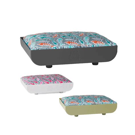 Kitty Kasas Penthaus Pentu