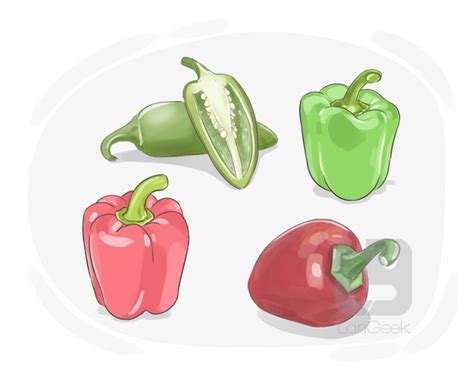 Definition And Meaning Of Capsicum Langeek