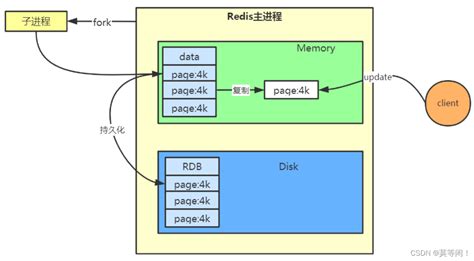Redis 基础命令和持久化 网络 Bitmapredis Bitmap命令 Csdn博客