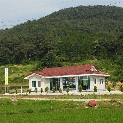 비타민건강명가