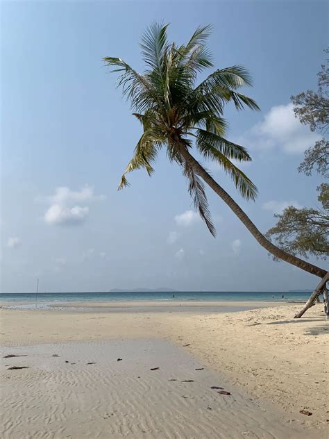 Outfit ไปทะเลแบบเปรี้ยวอมหวาน ไม่โป๊แต่แซ่บ 📸🕶 แกลเลอรีที่โพสต์โดย Wirunya Lemon8