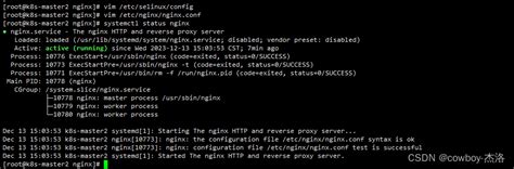 Nginx Upstream绑定端口失败nginx Emerg Bind To 00006445 Failed 13
