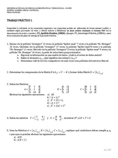 Mhvhg Trabajo Practico 1 Matrices Pdf Matriz Matemáticas Álgebra