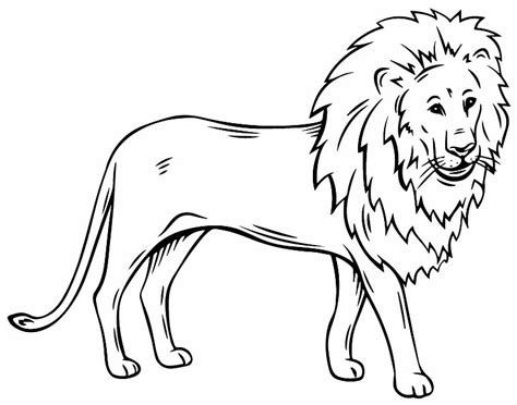 Desenho De Leao Para Colorir Porn Sex Picture