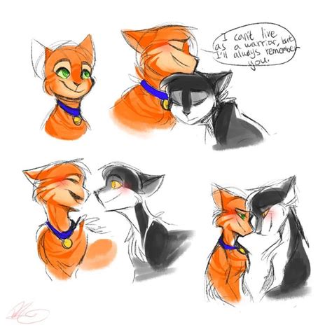 Pin On Warrior Cats