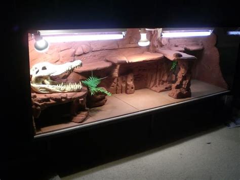 1000 Images About Lizard Stuff On Pinterest Reptile Tanks Reptile Terrarium And Bearded