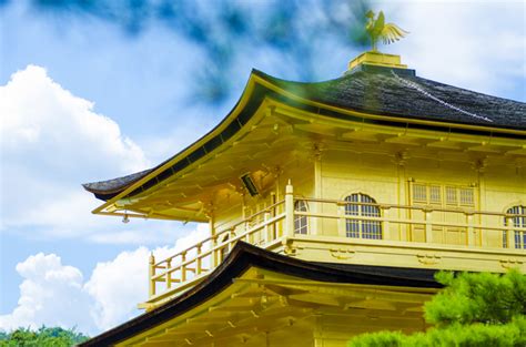 金閣寺へのアクセス！二条城からのバスでの行き方と料金や時間 京都のアクセス