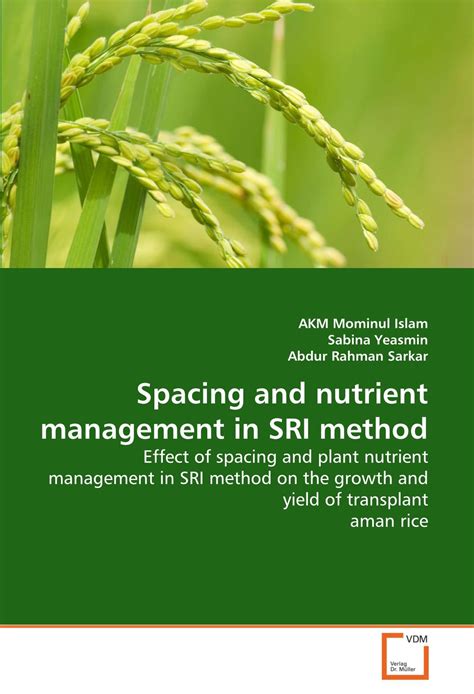 Buy Spacing And Ent Management In Sri Method Effect Of Spacing And Ent Management In Sri Method