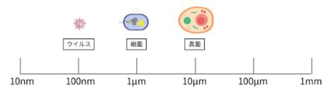 感染症と湿度の関係 うるおlabo