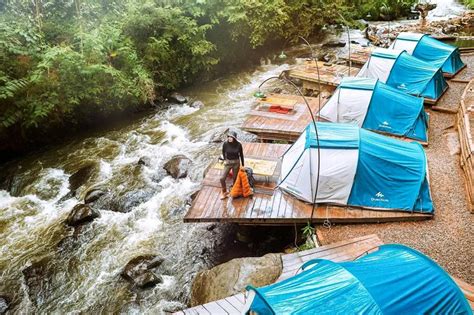 7 Rekomendasi Tempat Glamping Hutan Pinus Tercantik