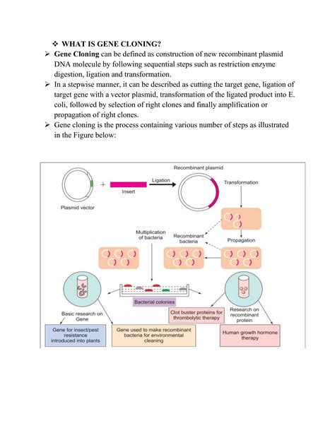 Recombinant Dna Technology Introduction Pdf