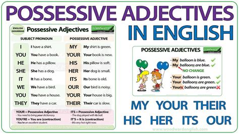Category Possessive Adjectives Love2learn