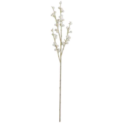 35 Tan Pod Stem Cotton And Crete