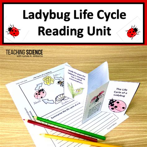 Ladybug Reading Passages And Comprehension Questions