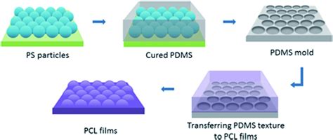 A Schematic Representation For The Nanotextured Pcl Film Fabrication