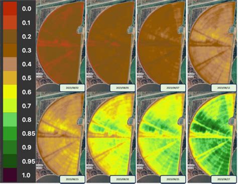 Transforming Agriculture Through Satellite Imagery Agri Technovation
