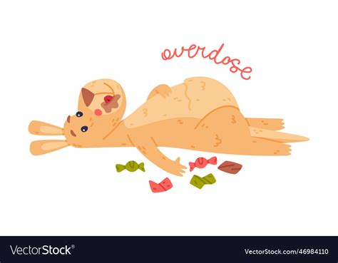 Funny Kangaroo Marsupial Animal Lying Overdose Vector Image