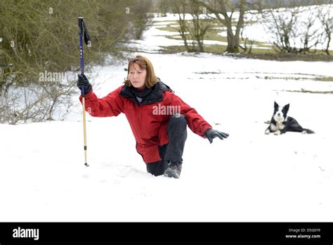 Woman Walking Through Deep Snow Drift In Winter Britain Uk 2013 Severe