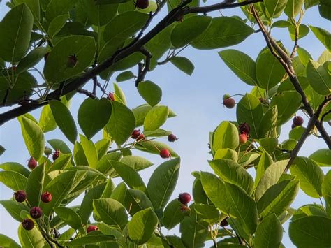 Microsoft Planner Filters Let You See The Trees From The Forest