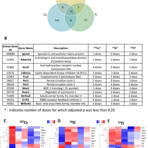overlapping differentially expressed genes a venn diagram depicting