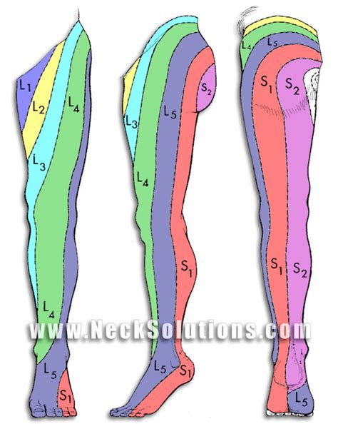 Effective Hip Flexor Stretch Sciatica Is A Commonly Used Term For Pain