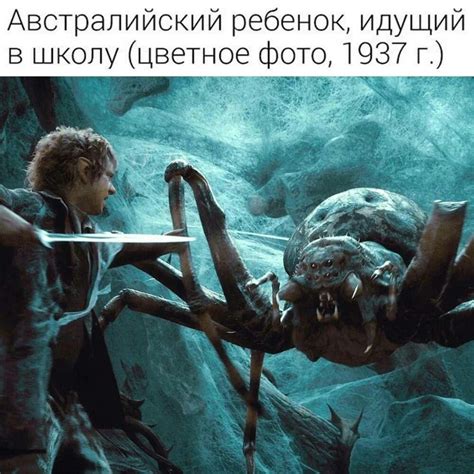 Редкие кадры Пикабу