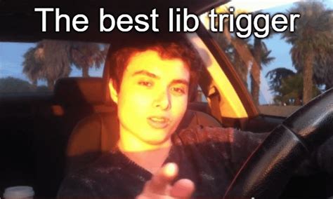 Triggered The Libs So Much Rtheleftcantmeme