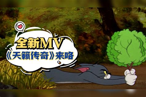 猫和老鼠：全新《天籁传奇》来咯，来感受生活中的天籁之音生活天籁传奇