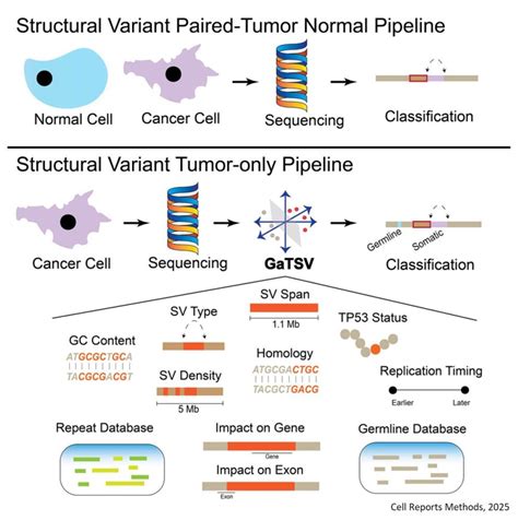 A Sequence Context Based Approach For Classifying Tumor Structural Variants Without Paired